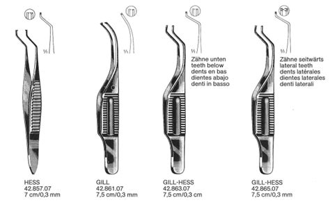 Gill Hess Iris Forceps From 00 Josec Supplies
