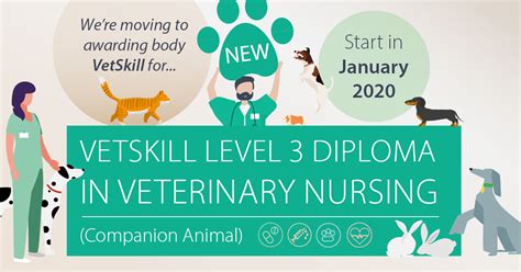 New Vetskill Level 3 Diploma In Veterinary … Caw News