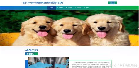 开题报告 django vue“基于的宠物用品交易平台的设计与实现”论文 源码 csdn博客
