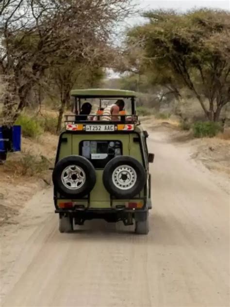 Samburu Game Reserve Petit Maasai Safaris