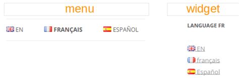 The Language Switcher Polylang