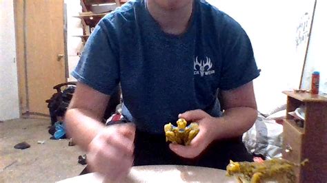 Cheeter Rtransformers