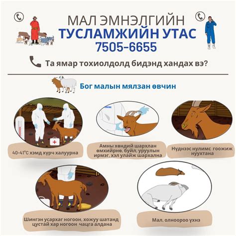 Мал эмнэлгийн ерөнхий газар