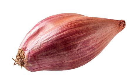 Whole Long Red Shallot Isolated On A White Background Cutout Of Organic
