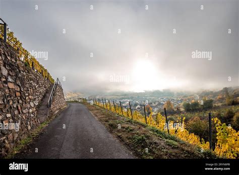 Moselle Loop 180 Degree Loop Mosel A River In Germany With Vineyards