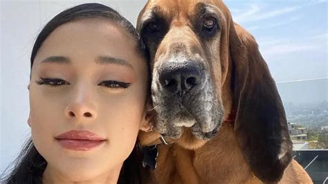 Ariana Grandes Dogs Breeds Ages And More Dogtime