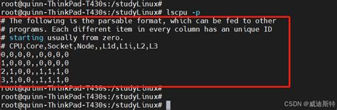 Linux系统命令：用于显示 Cpu 架构详细信息的命令行工具lscpu详细介绍lscpu命令 Csdn博客
