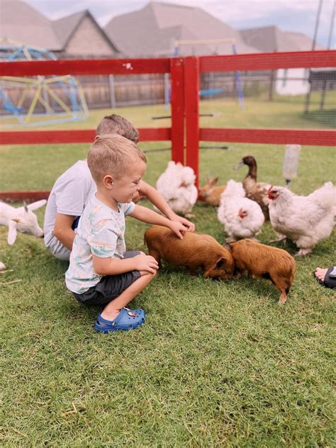 The Learning Experience South The Learning Experience