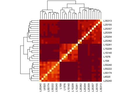 Coding Lecture 5 BC3203