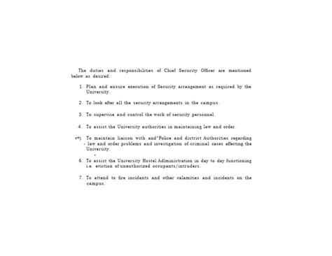 Chief Security Officer Pdf