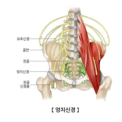 인체정보 의료정보 건강정보 서울아산병원
