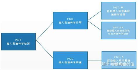 第三代试管选择的是pgd、pgs还是pgt，ngs又是什么 知乎
