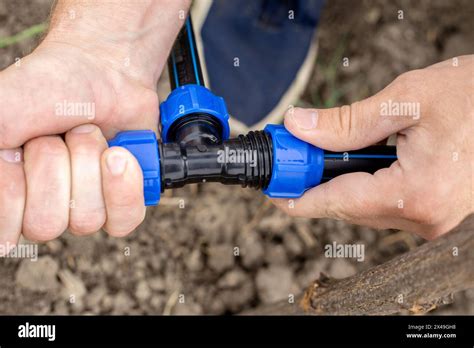 A Man Installs An Automatic Drip Irrigation System For His Garden