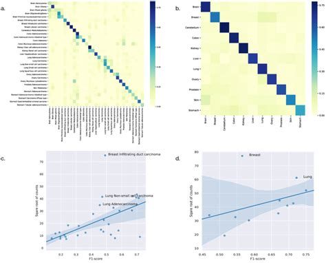 A The Classification Performance Of Individual Subtypes B The