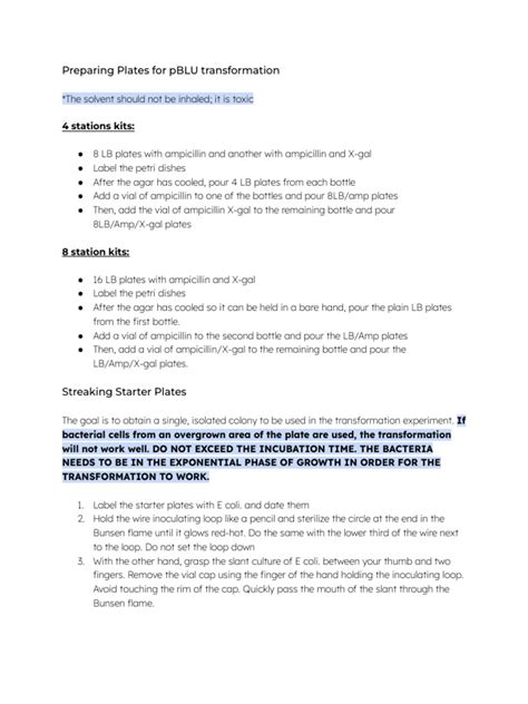 Swera Patel Transformation Lab Summary Pdf Transformation