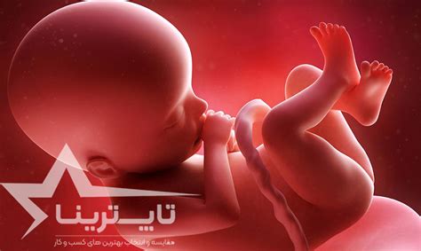 علائم تشکیل قلب جنین در بدن مادر چیست؟ تاپترینا
