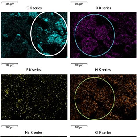 Sem Image Of Si Dlc Coated Steel Disc Showing Evidence Of Wear And