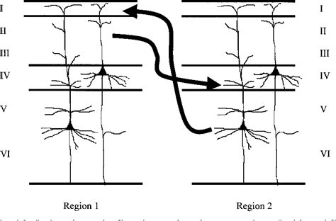 Figure 3 From Steady State Visually Evoked Potential Ssvep Topography