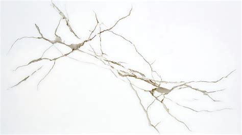 Splitternackt Bilder Stock Fotos And Videos Adobe Stock