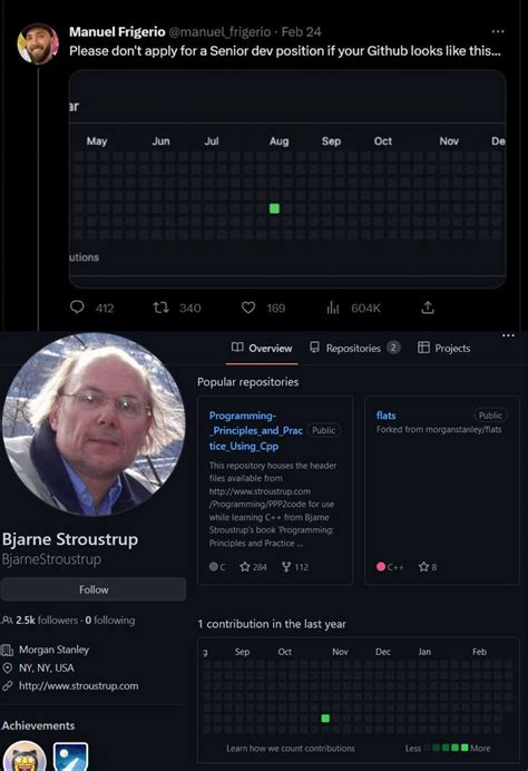 the crazy programmer on linkedin programmer programming