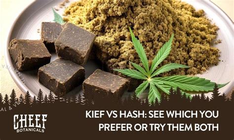 Kief Vs Hash Which Cannabis Concentrate Reigns Supreme