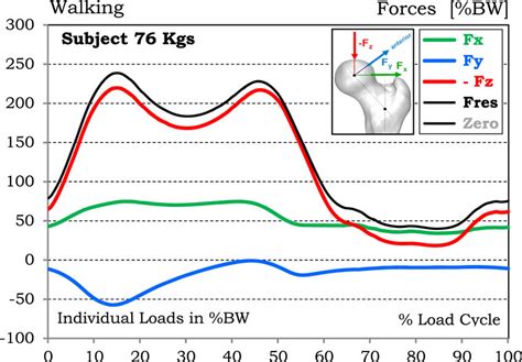 Position Global Coordinate System At Sam Moonlight Blog