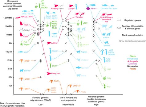 The Empirical Landscape Of Parallel Genetic Evolution The Graph