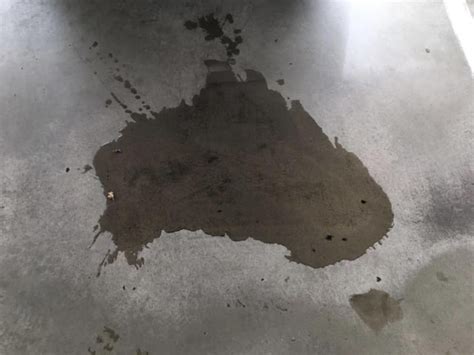 Australian Map Puddle R Pareidolia