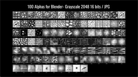 Floor Maker 200 Brushes For Blender And 100 Alphas Blender Market
