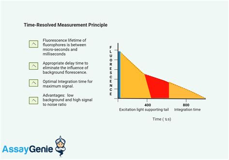 Time Resolved Fluorescence Trf A Comprehensive Introduction Assay Genie