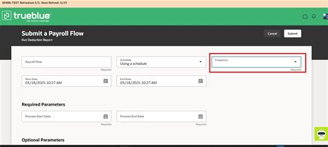 Custom Roles Are Not Showing Frequency When Submitting A Payroll Flow
