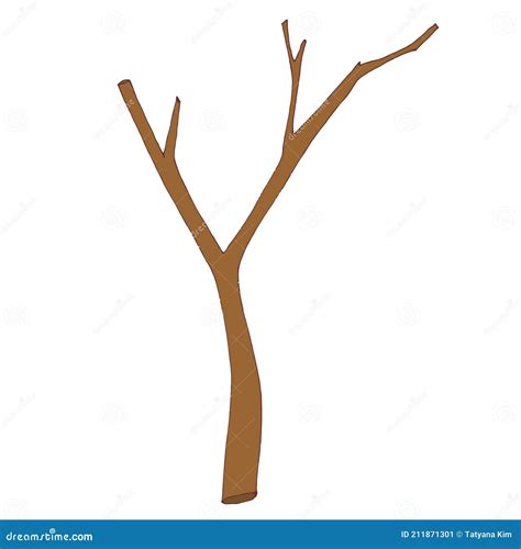 Part Of A Tree Branch A Bare Branch Without Leaves Vector Stock Vector Illustration Of