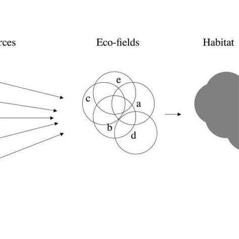 In This Conceptual Scheme The Habitat Is The Result Of The Spatial