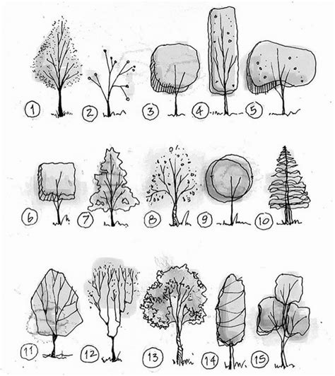 Tree Top Symbols Architecture Drawing Art Architecture Design Sketch Architecture
