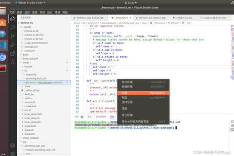 Ros话题通信自定义msg实现发送接收（六）c、pythonpython用类 进行ros消息发布 Csdn博客