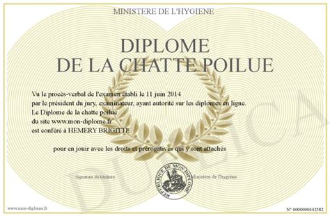 Diplome De La Chatte Poilue