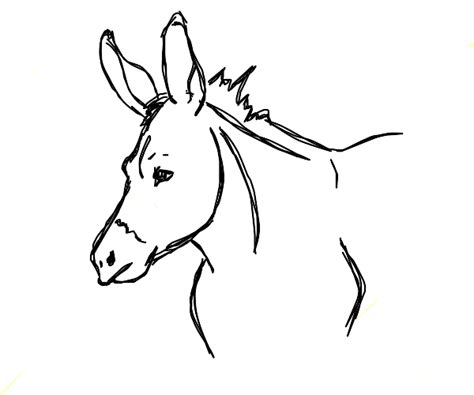 Mule Drawception