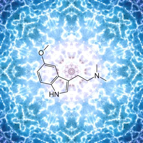 5 Meo Dmt An Overview