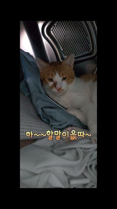 우주최강 장난꾼~역시 짱이였어ㅠ Youtube