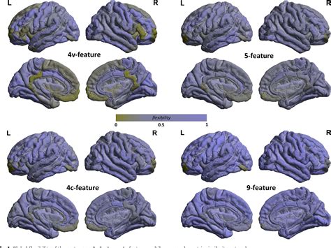 Figure 1 From Brain Morphometric Similarity And Flexibility Semantic