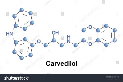 Carvedilol Beta Blocker Used Treating Mild Stock Vector Royalty Free 591247478 Shutterstock