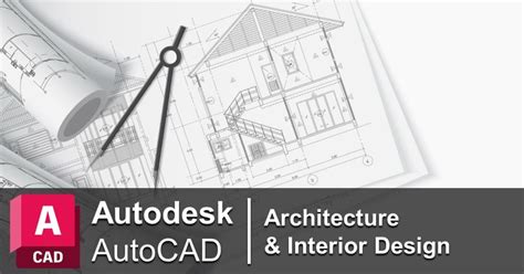 Home Golden Brains Academy