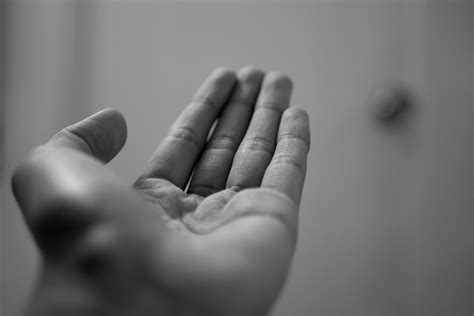 손 열린 Pixabay의 무료 사진 Pixabay