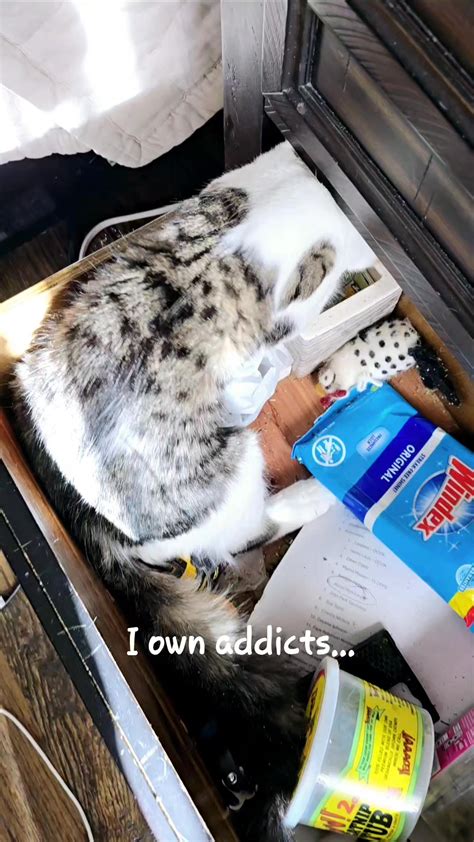 Bridget Melson Drbridget • Instagram Photos And Videos