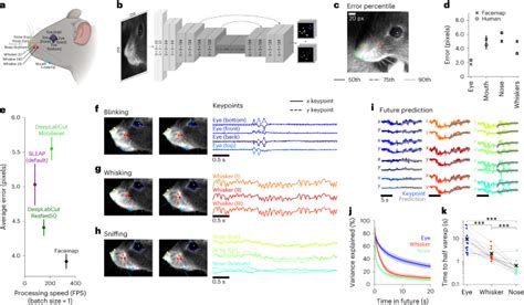 Facemap A Framework For Modeling Neural Activity Based On Orofacial