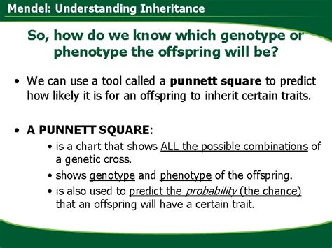 mendel understanding inheritance mendel understanding inheritance