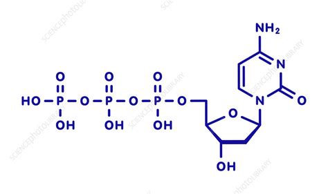 Deoxycytidine Triphosphate Nucleotide Molecule Illustration Stock