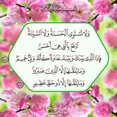 وَلَا تَسْتَوِي الْحَسَنَةُ وَلَا السَّيِّئَةُ ۚ ادْفَعْ بِالَّتِي هِيَ