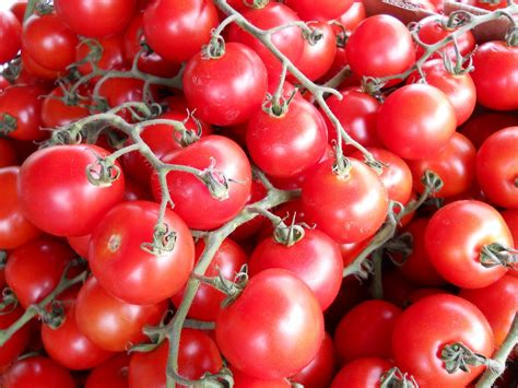 Free Images Nature Vine Fruit Summer Ripe Meal Food Salad Red Ingredient Produce
