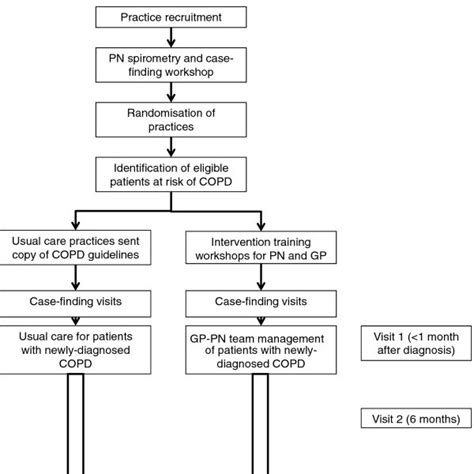 Study And Data Collection Processes Download Scientific Diagram